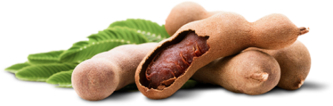 เฮอร์บิที ชาดำมะขาม | Herbi Tea